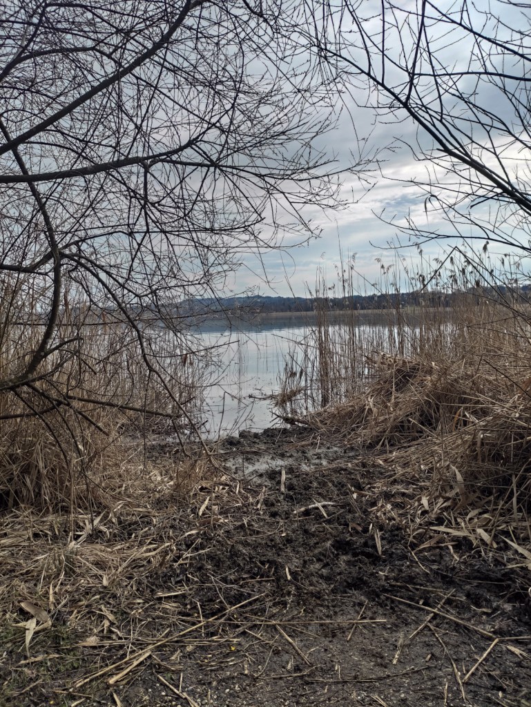 Simssee die Wanderung um dem See mit tollen Aussichtspunkten